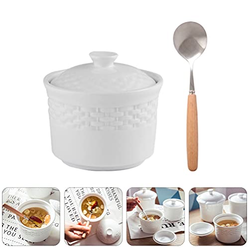 Operitacx Ceramic Stew Pot with Lid and Spoon Japanese Small Steam Soup Bowl Steaming Cup Serving Dish Seasoning Jar for Cereal Rice Chili Beef Stew Medicinal Birds Nest Egg Custard Appetizer