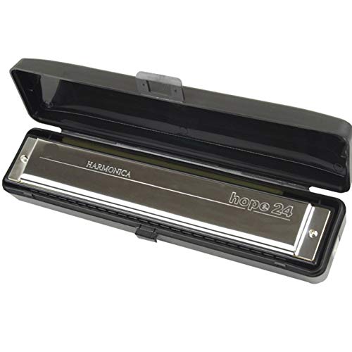 WAAZVXS Harmonica 24 Holes Brass Reeds Blues Harp Mouth Organ Key C ABS Comb Wood Musical Instruments Silver 6624 (Color : Key E)