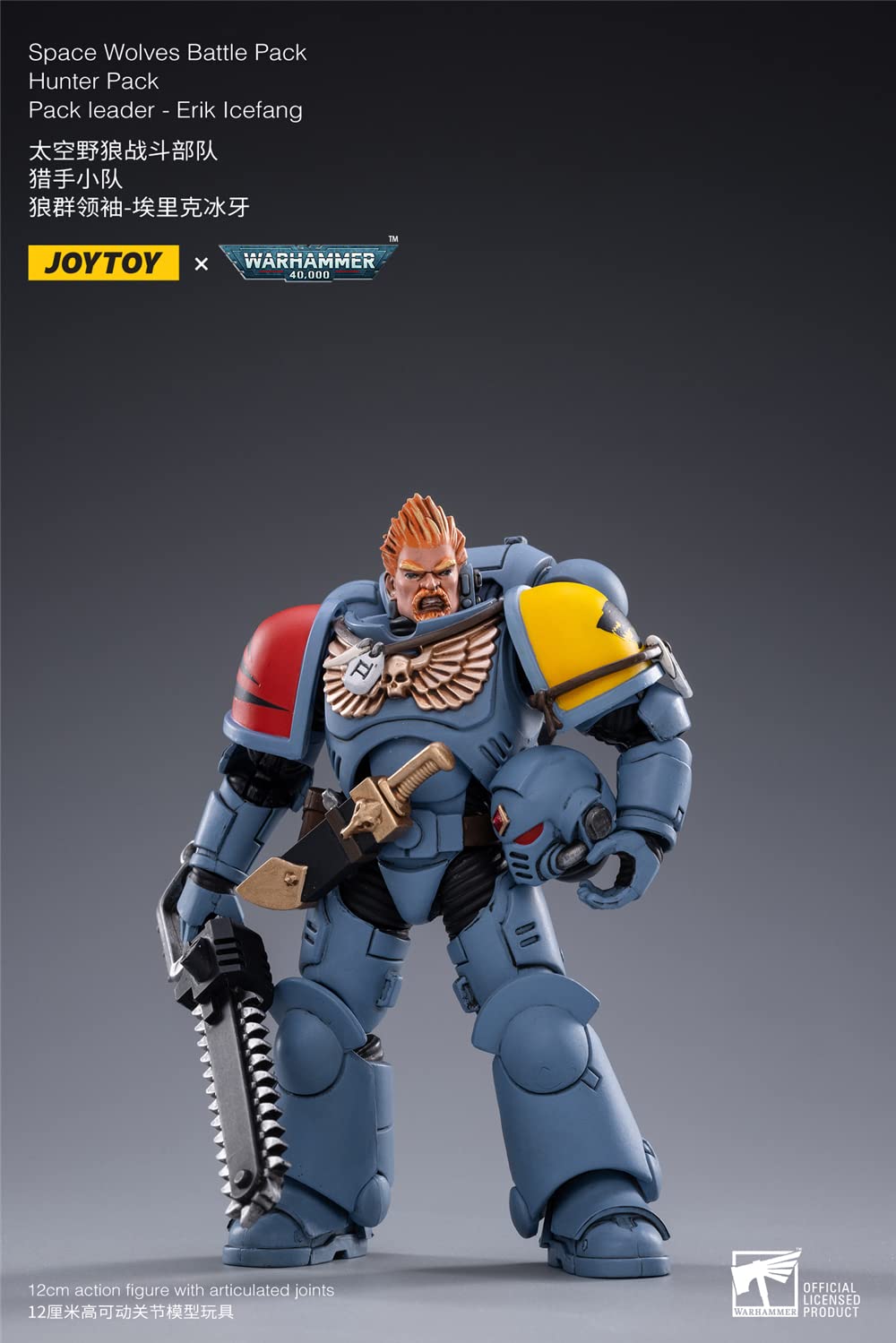 HiPlay JoyToy 1/18 Soldier Movable Figure Set of 4 - Space Wolves Hunter Pack