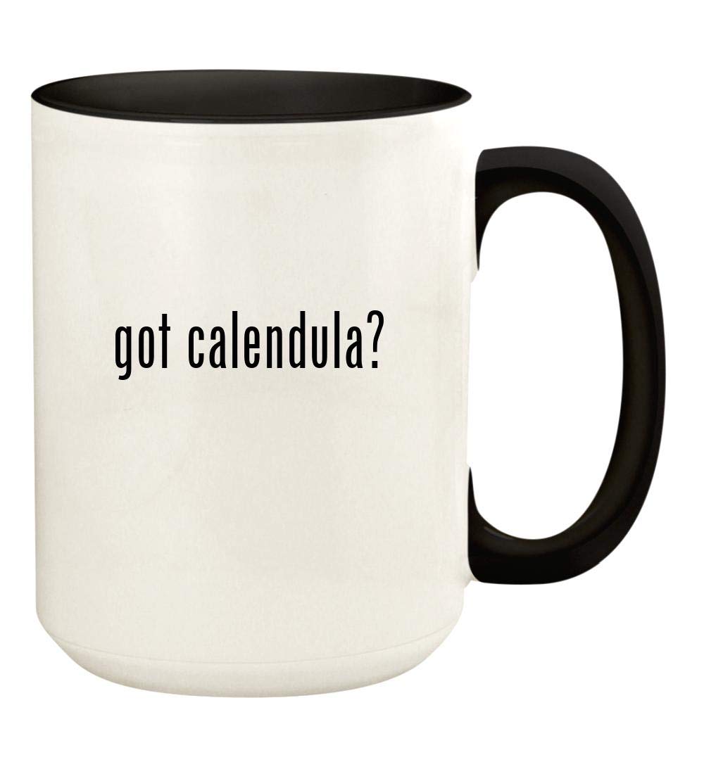 Knick Knack Gifts B04Y19D01W008202M04T61C02S28C-US - 15oz Ceramic Colored Handle and Inside Coffee Mug Cup, Black