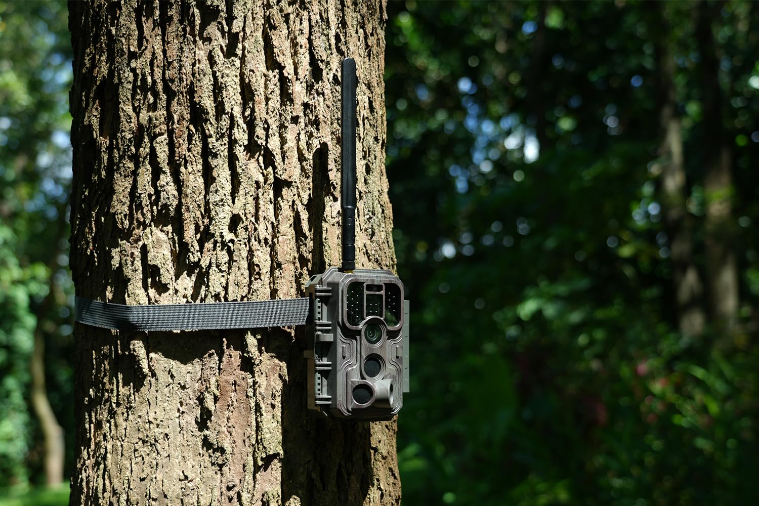 Meidase Cellular Trail Camera S950, Game Camera with 4G LTE, Clear 100ft No Glow Night Vision, Sends Picture to Cell Phone App