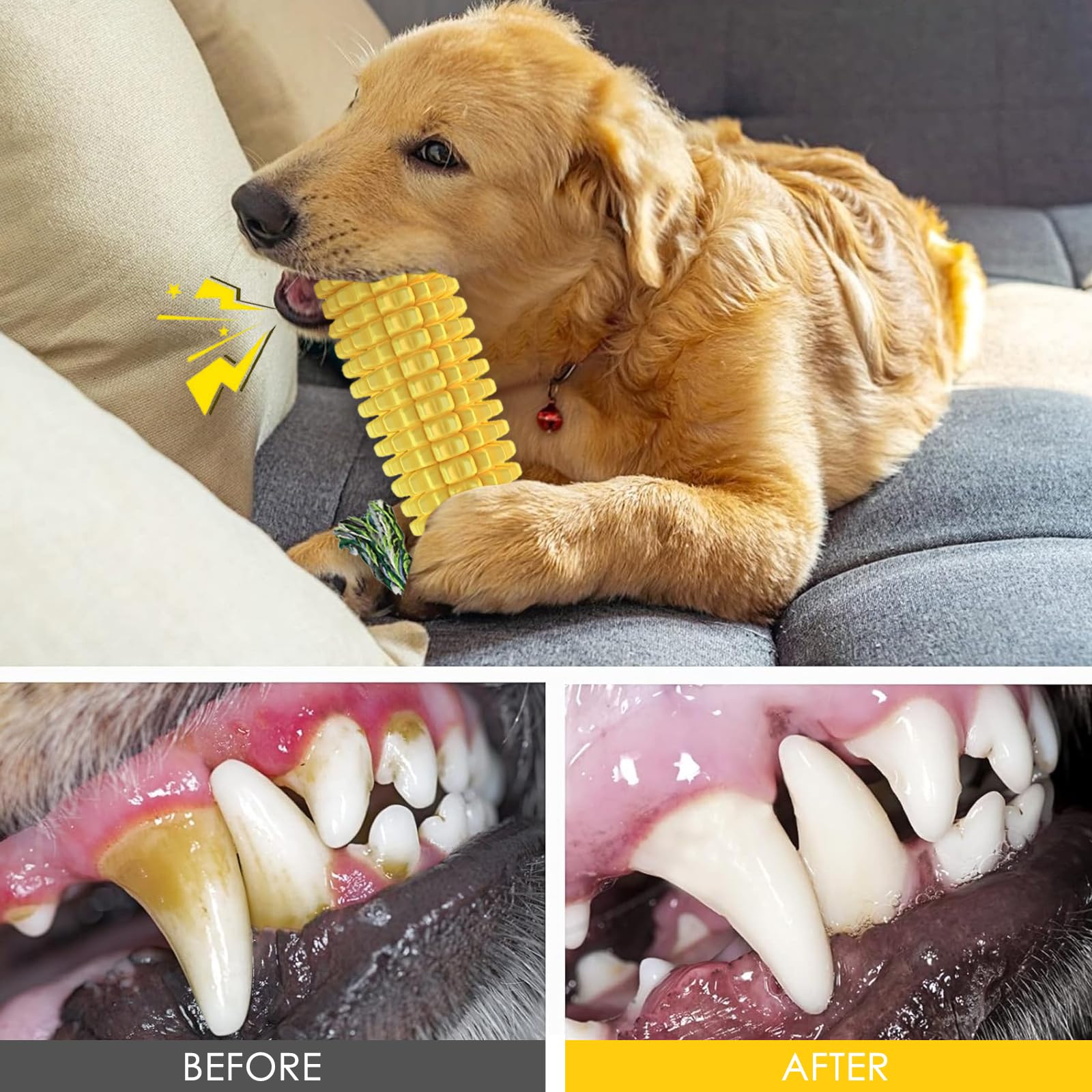 YCPPOG Dog chew Toy,Interactive Toy.Corn Shaped Toys can be Used to Clean Teeth,and There are Two Kind Models:Squeaky and no Squeaky.Suitable for Small and Medium Sized Dogs (Squeaky)