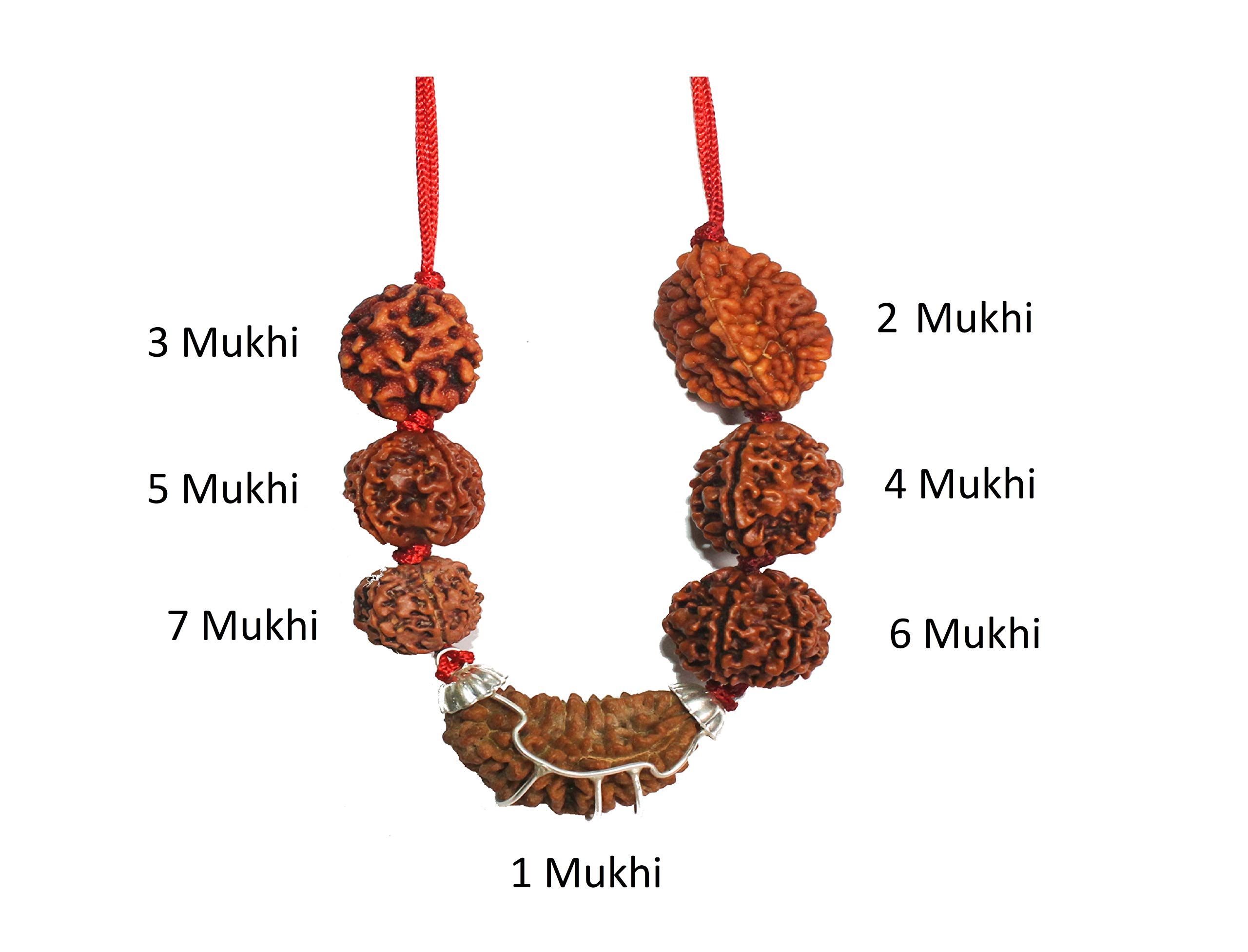 IndianStore4All IS4A Certified Rudraksha Mala (1, 2, 3, 4, 5, 6, 7 Mukhi, Face) Beads Necklaces