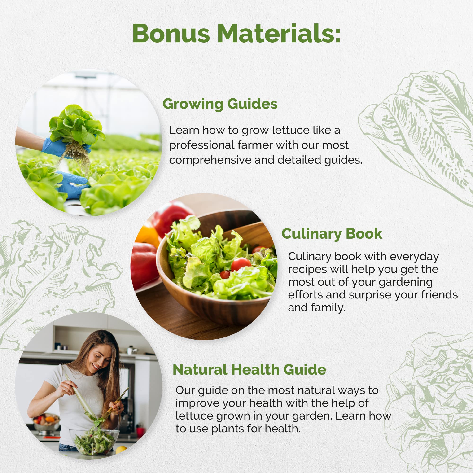 Organo Republic 7 Lettuce Seeds Variety Pack - Non-GMO Heirloom for Lettuce Hydroponic, Aerogarden, Indoor & Outdoors. 3800+ Seeds: Bibb, Romaine, Iceberg, Green Oakleaf, Red Leaf Lettuce