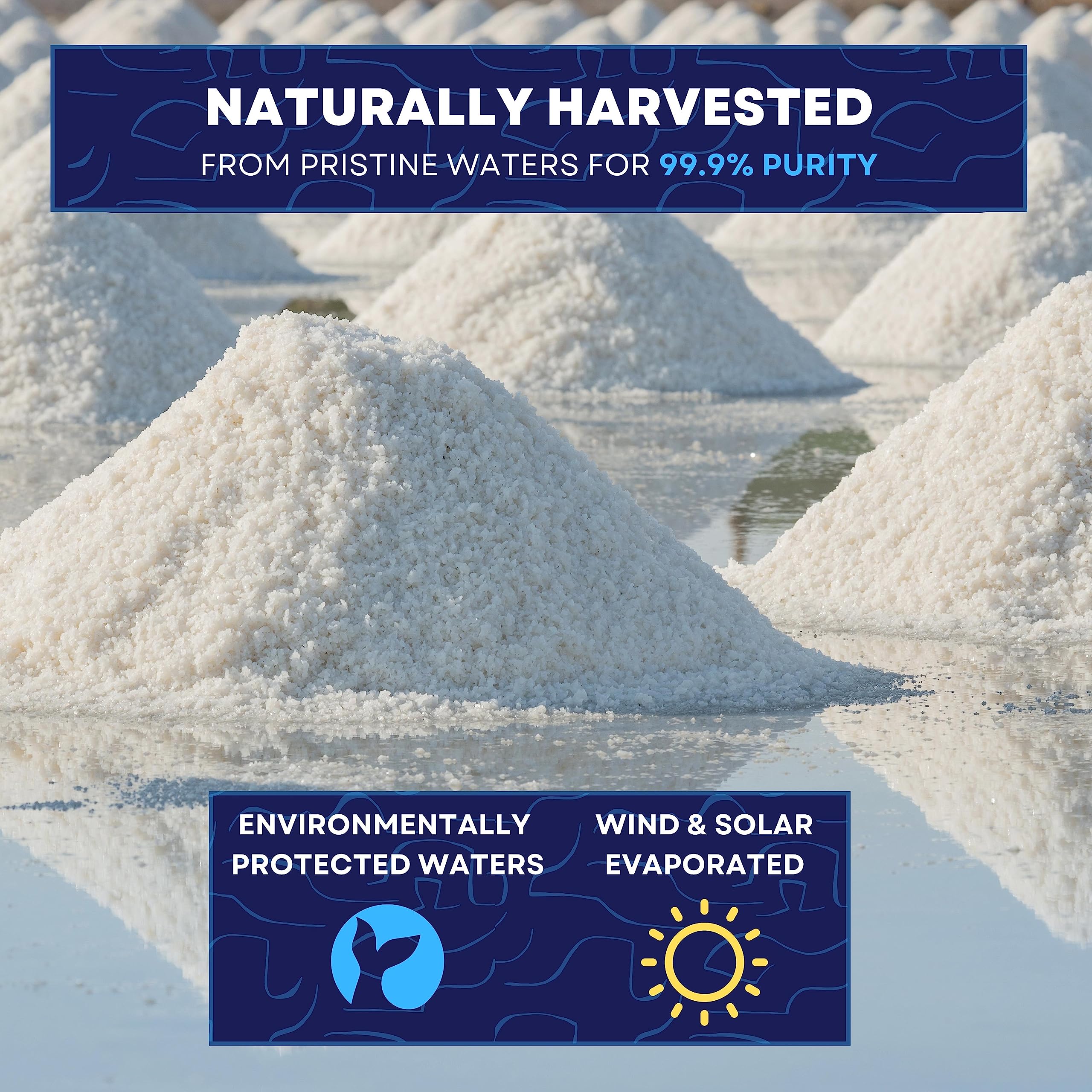 Kosher Sea Salt, Fine Grain Kosher Salt, Replacement for Table Salt, Non-Iodized, All-Natural, No Additives (14 oz Bag) - Sea Salt Superstore