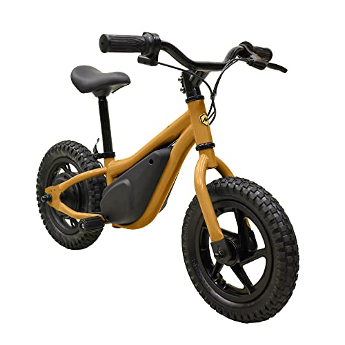 Massimo Motor E-11 Electric Bike for Kids 150 Watt, Age 3-8 yrs, 12in Wheels, Throttle Accelerate Adjustable Seat (Orange)