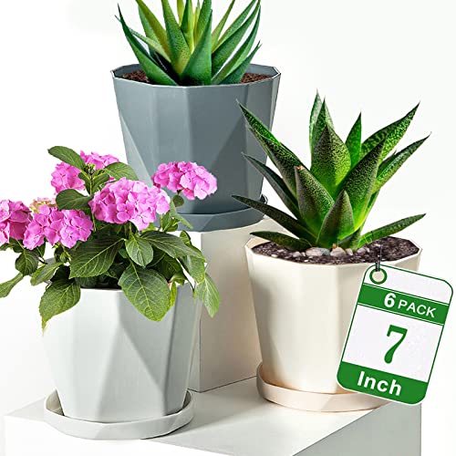 WYZGFRQS 7 Inch Plant Pots 6 Pack, Planters for Indoor Plants, Plastic Plant Pots with Drainage Holes and Saucers, Modern Flower Pots for Succulents, Snake Plant, African Violet, and Cactus