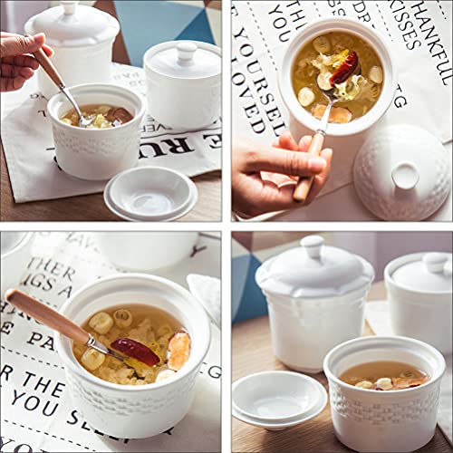 Operitacx Ceramic Stew Pot with Lid and Spoon Japanese Small Steam Soup Bowl Steaming Cup Serving Dish Seasoning Jar for Cereal Rice Chili Beef Stew Medicinal Birds Nest Egg Custard Appetizer