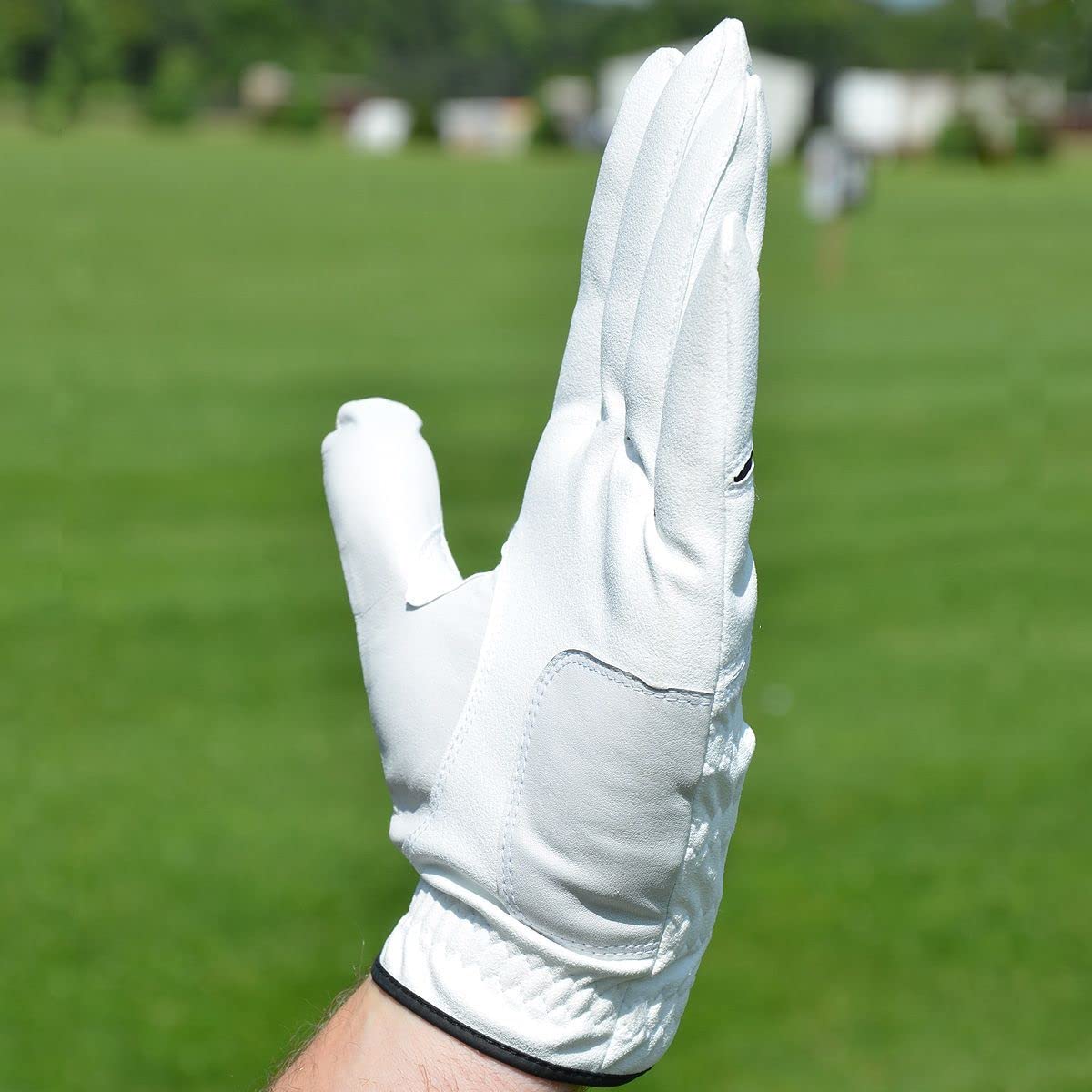 Intech Ti-Cabretta Men's Golf Gloves, Left-Hand, Medium Large (6 Pack)
