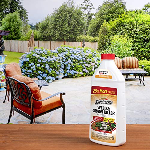 Spectracide Weed And Grass Killer Concentrate 40 Ounces, Use On Patios, Walkways And Driveways