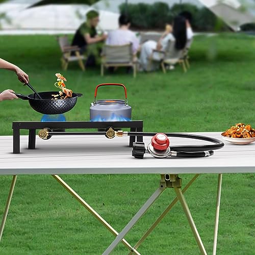 WenDissy Portable Double Burner Outdoor Gas Stove Propane Cooker with Adjustable 0-20 PSI Regulator Hose for Outdoor Cooking Picnics Camping BBQ Hiking