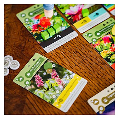 Inside Up Games Earth - The Board Game by Inside Up Games & Maxime Tardif,Ecosystem Building,Card Drafting & Action Selecting,for 1 to 5 Players,Play Solo-Multiplayer-Teams,45-90 Minute Playing Time