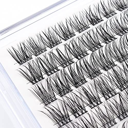 Lash Clusters 144pcs D Curl Individual Lashes DIY Eyelash Extensions, Eyeberly LASH 10/12/14/16mm Mix Length Cluster Lashes Natural Look Lash Extensions DIY Wispy Lashes at Home(Dream)