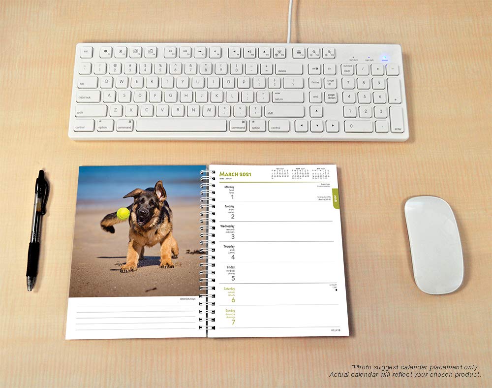 Horse Lovers 2021 6 x 7.75 Inch Spiral-Bound Wire-O Weekly Engagement Planner Calendar | New Full-Color Image Every Week | Animals Equestrian