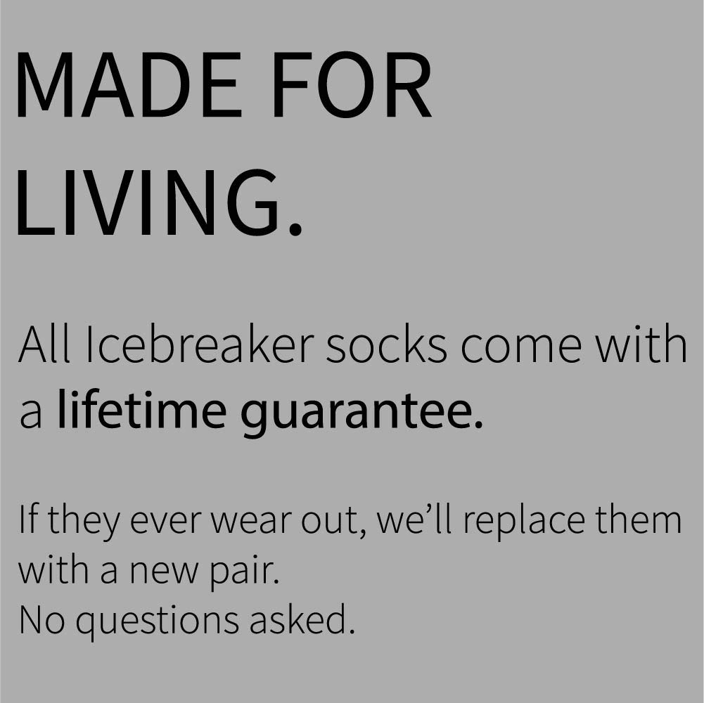 Icebreaker Merino womens Medium Cushion Wool for Women hiking socks, Black, Small US