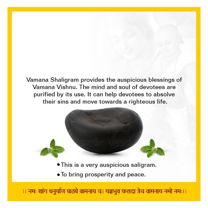 Vedic Vaani Vaman Vishnu Rupam Shaligram Shila |Shaligram Paste|Vridavan Tulsi Attar| Tulsi mala (Pack of 4)