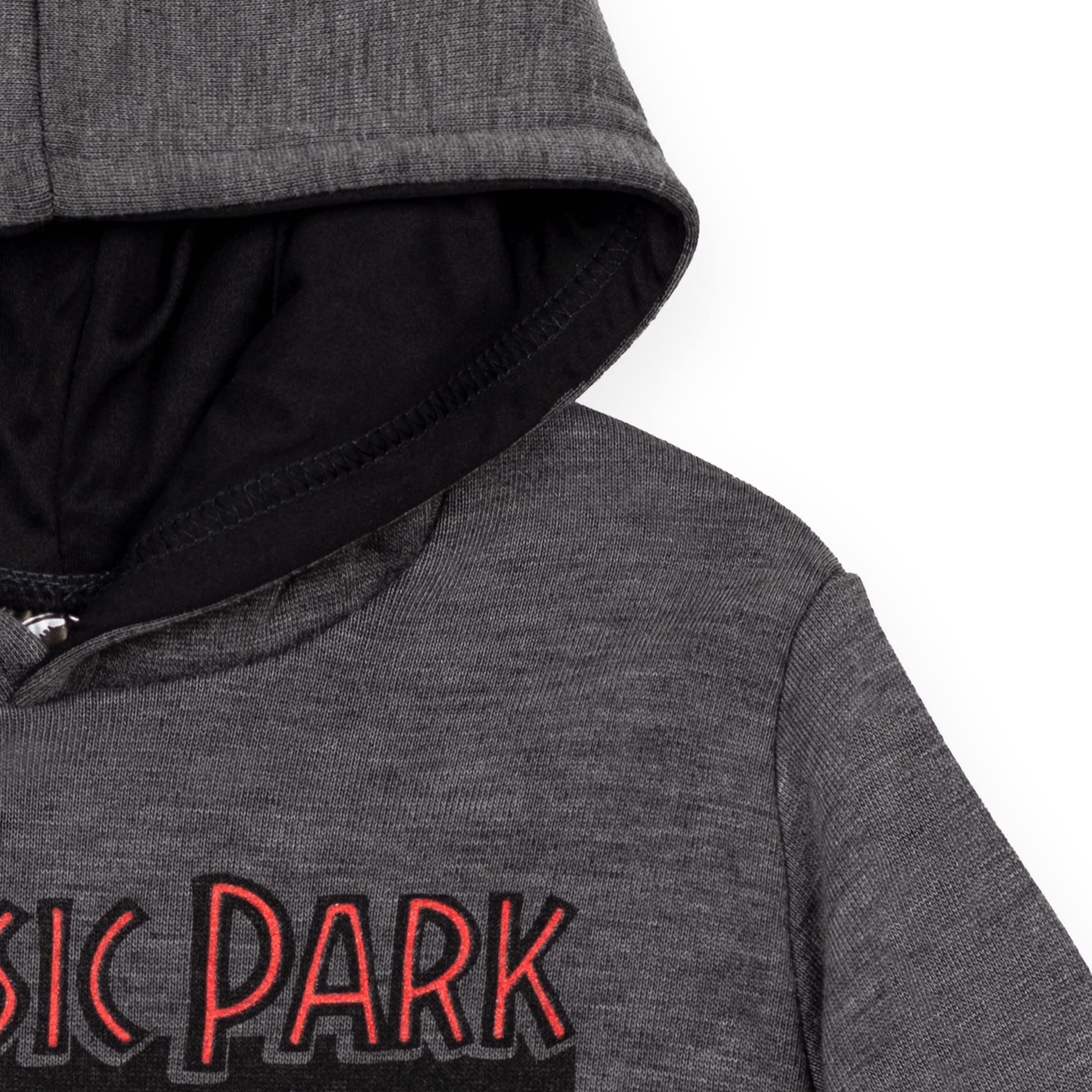Jurassic Park Little Boys Fleece Hoodie Gray 6