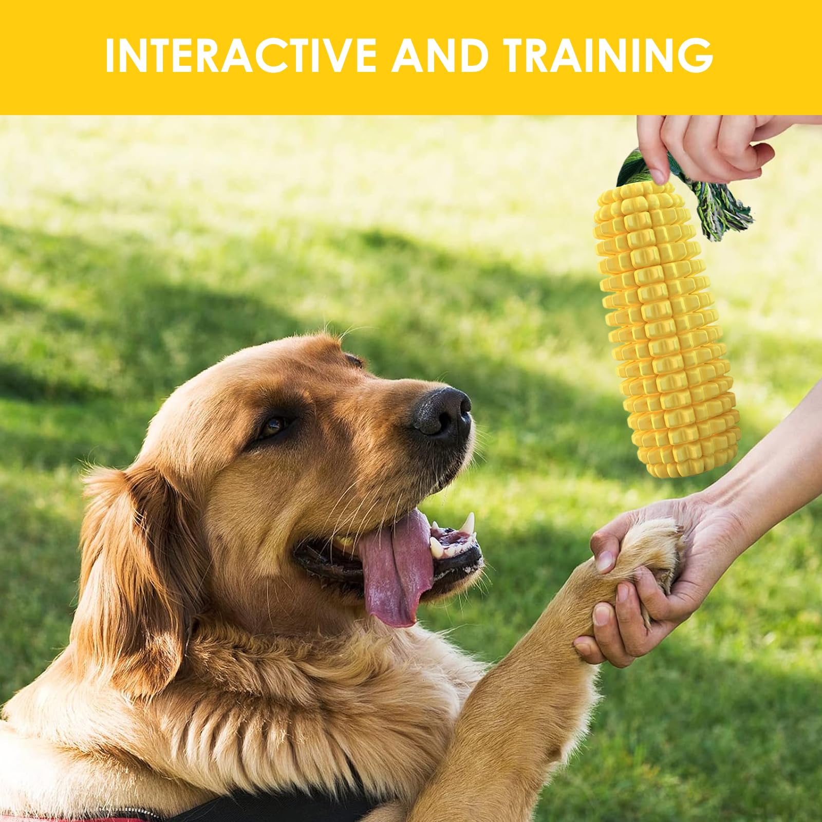 YCPPOG Dog chew Toy,Interactive Toy.Corn Shaped Toys can be Used to Clean Teeth,and There are Two Kind Models:Squeaky and no Squeaky.Suitable for Small and Medium Sized Dogs (Squeaky)