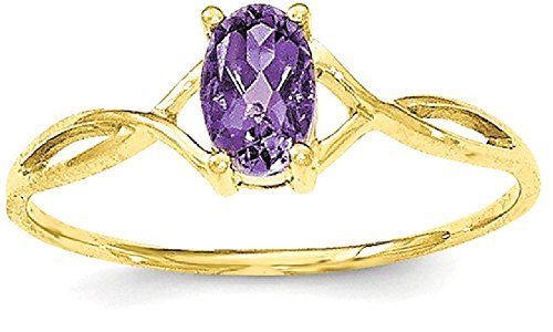 IceCarats 10K Yellow Gold Purple Amethyst Ring Gemstone Band February Birthstone Jewelry Size 7.00