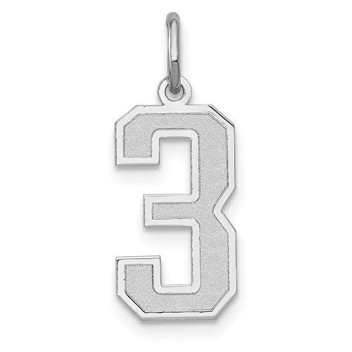 IceCarats 14K White Gold Medium Number 3 Necklace Charm Pendant Only