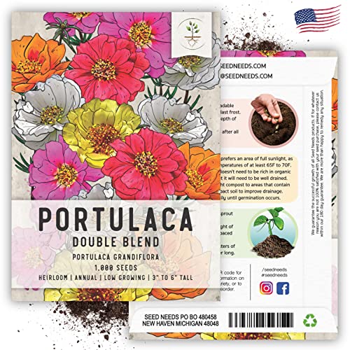 Seed Needs, Portulaca Seeds - 1,000 Heirloom Seeds for Planting Portulaca grandiflora - Moss Rose, Great for Rock Gardens (1 Pack)