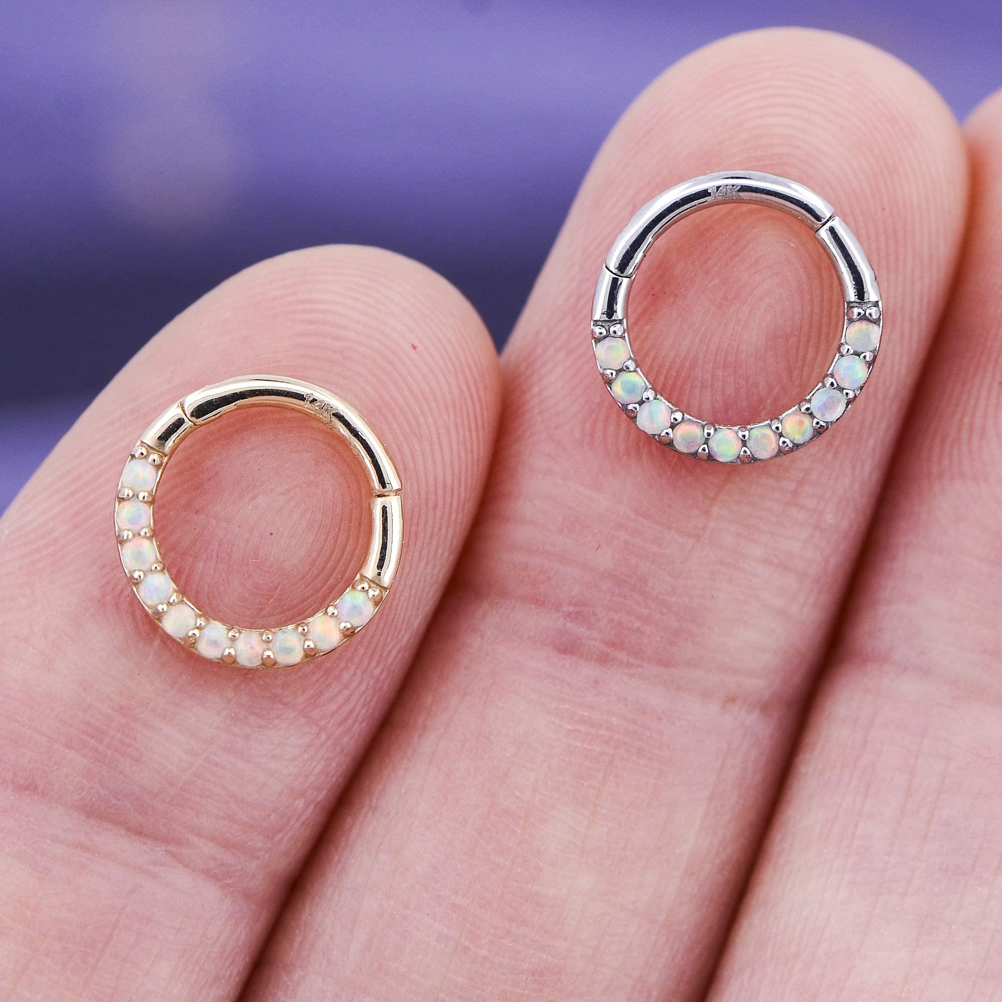 Jewseen 14K Gold Opal Lined Set Hinged Segment Hoop Rings 16g Septum Clicker Nose Rings Daith Trgaus Helix Earring Body Piercing