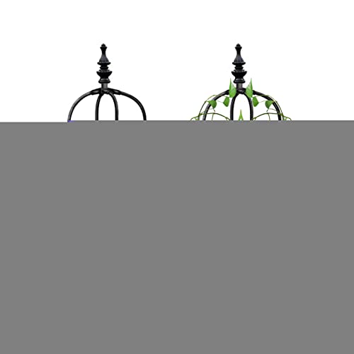 Trellis for Climbing Plants - Rustproof Plant Trellis Climbing Plant Support - Tomato Plant Trellis for Climbing Support Rose, Vegetable, Vines, Ivy, Jasmine Buogint