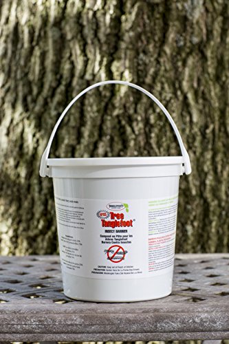 Tanglefoot Insect Barrier (Tub), 15 oz.
