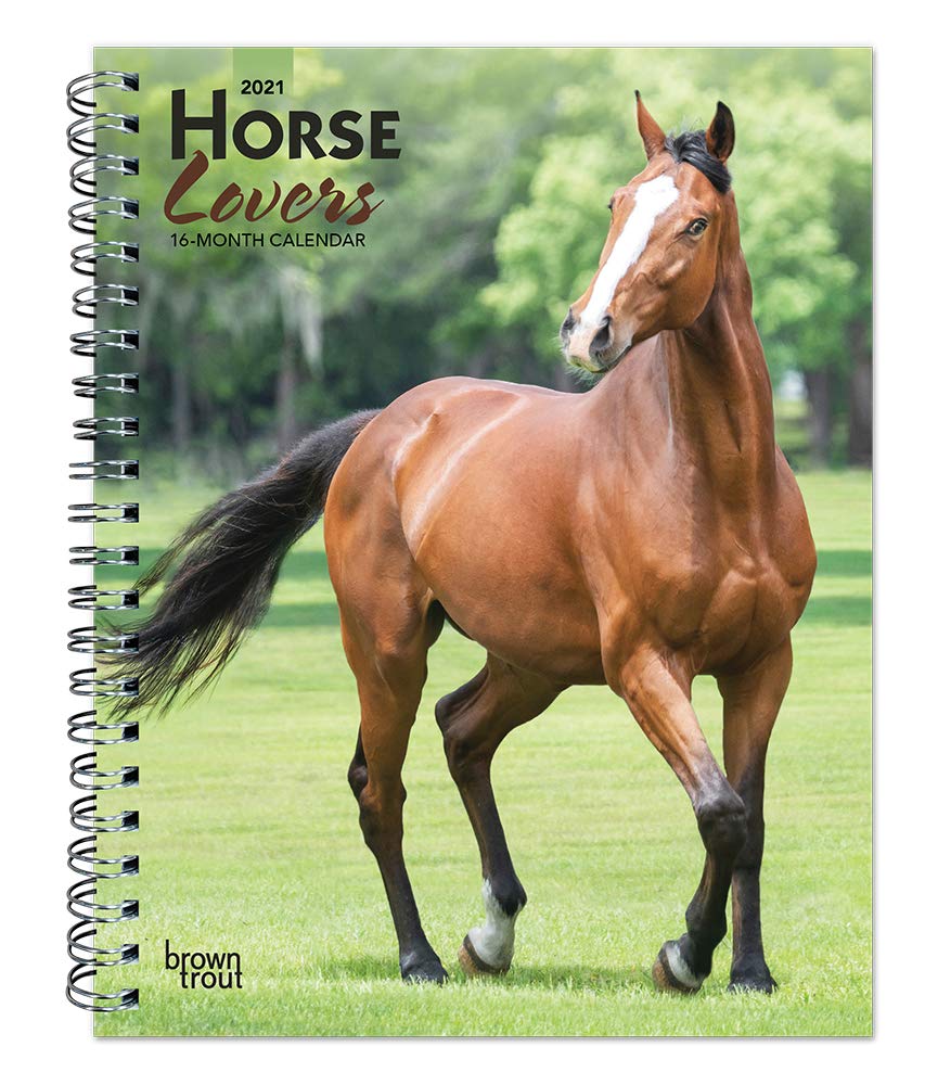 Horse Lovers 2021 6 x 7.75 Inch Spiral-Bound Wire-O Weekly Engagement Planner Calendar | New Full-Color Image Every Week | Animals Equestrian