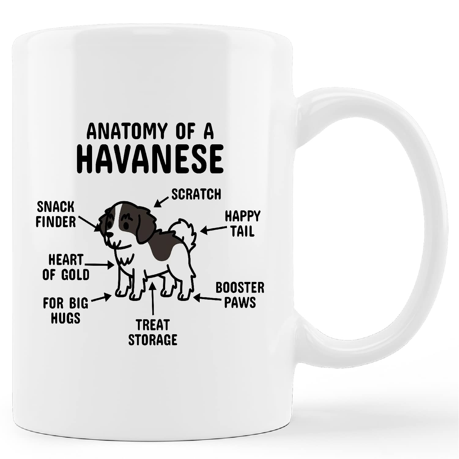 kunlisa Funny Havanese Mug Cup,Anatomy of a Havanese Ceramic Mug-11oz Coffee Milk Tea Mug Cup,Gifts For Dog Lovers Havanese Mom Dog Mom Women Men Teen Girls,Pet Lovers Coworkers Gifts
