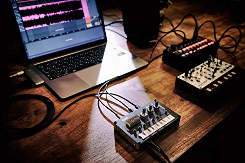 Korg Nu:tekt NTS-1 Programmable Synthesizer Kit Bundle with MIDI Cable and Austin Bazaar Polishing Cloth
