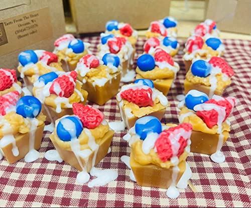 Wild berry cheesecake grubby wax melts tarts