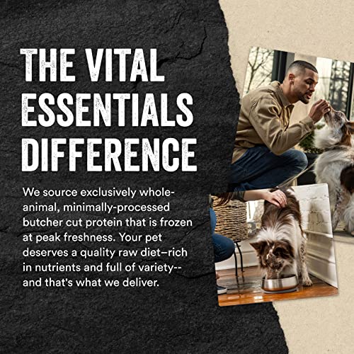 Vital Essentials Freeze Dried Dog Treats, Raw Minnows Treats for Dogs 2.5 oz