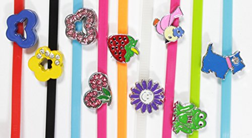 Shannon's Chixx Colorful Poultry Leg Bands for Home Chicken Coops, Identification Bands for Chickens, Ducks, Geese, and Turkeys, Butterfly, Bugs, and More Charms (Set of 10)