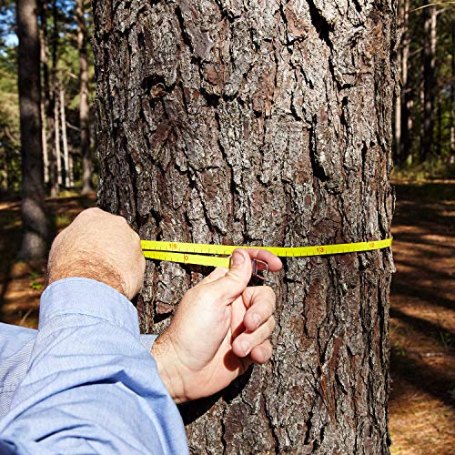 Spencer Logger's Tape Model 950XL