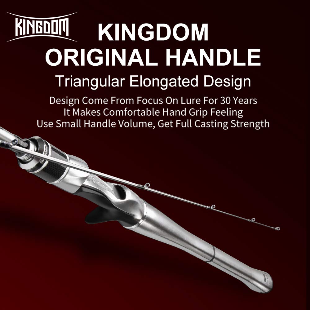 Kingdom Silver Needle Fishing Rods Ultralight Fast Spinning Rod Fuji Ring 2 Section UL L ML M MH Fuji Ring Carbon Casting Travel Rod