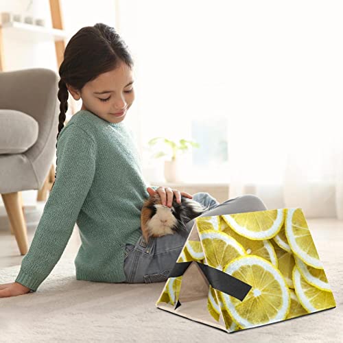 Y-DSIWX Guinea Pig Hideout Cozy Hamster House Cave for Bunny Chinchilla Hedgehog Small Animal Lemon Slices