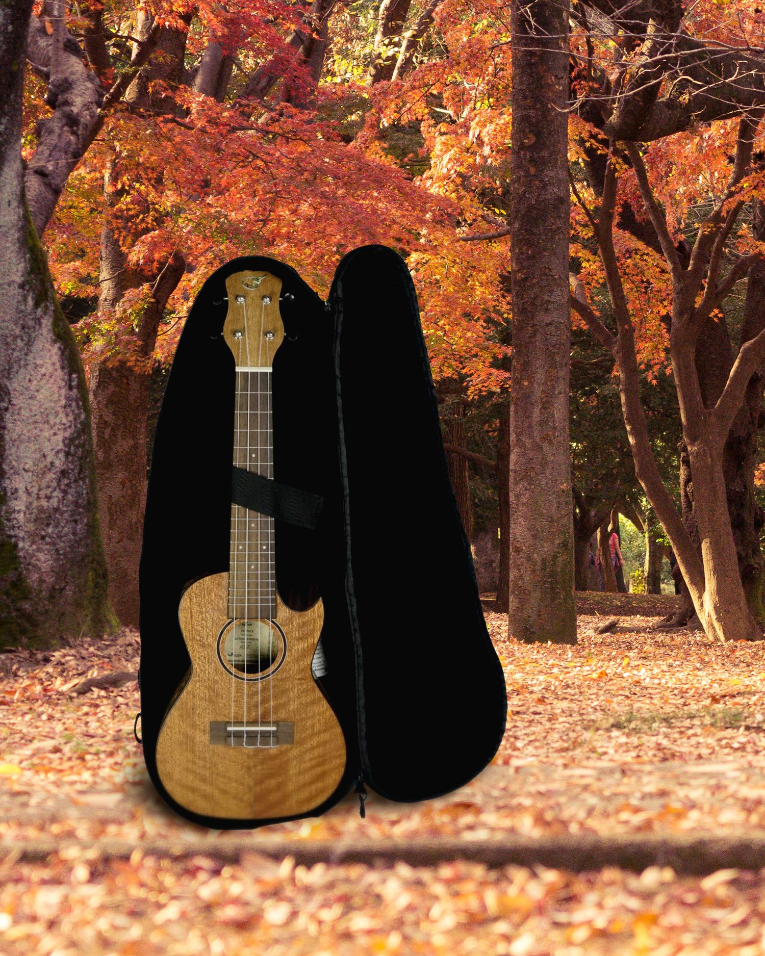 Journey Instruments Meranti Concert Travel Ukulele – UC770CE Traveling Concert-Size Ukulele – Top Best Road Trip Ukulele Musical Instruments – Travel Ukulele Case
