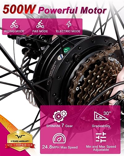 VICTRIP Folding Electric Bike