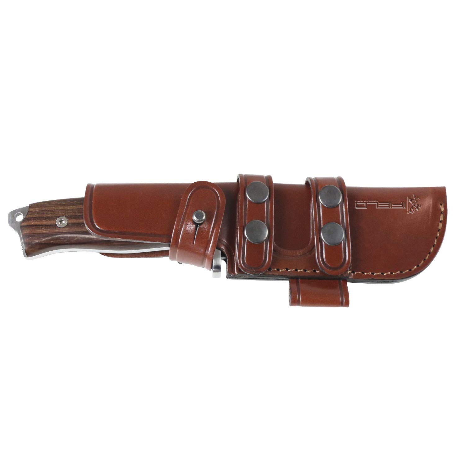 iFIELD Hunting Knife Workout EL29105, 4.6 inch MOVA Satin Blade, Cocobolo Handle, with Brown Leather case, Camping Tool for Fishing, Hunting, Sport Activity