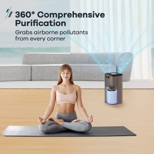 Welov P200S/P200 PRO Air Purifier Replacement Filter, 3-in-1 H13 True HEPA and High-Efficiency Activated Carbon Filter for Pet Hair Dander Smoke Pollen Dust Mite Kitchen Smells Odor
