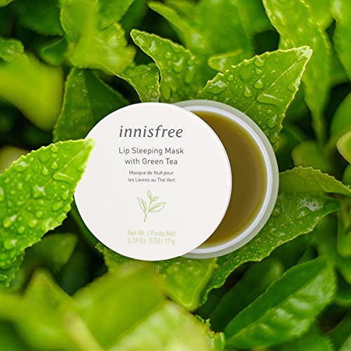 innisfree Green Tea Hydrating Lip Sleeping Mask Overnight Balm Moisturizer, 0.59 Ounce (Pack of 1)