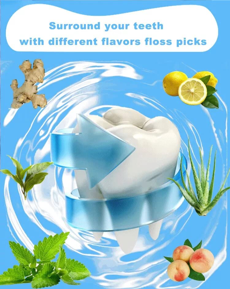 Richsource Dental Flossers - Floss Picks… (1 Pack)