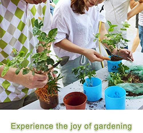 Indoor Potting Soil,Plant Soil - Compressed Coir Fiber Growing Media Organic Indoor Potting Soil for Plants 1.6 inch 24 Count