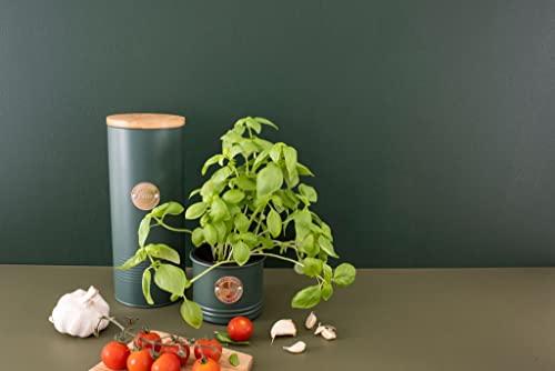 Typhoon Living Collection | 1-Quart Coffee Canister - Green