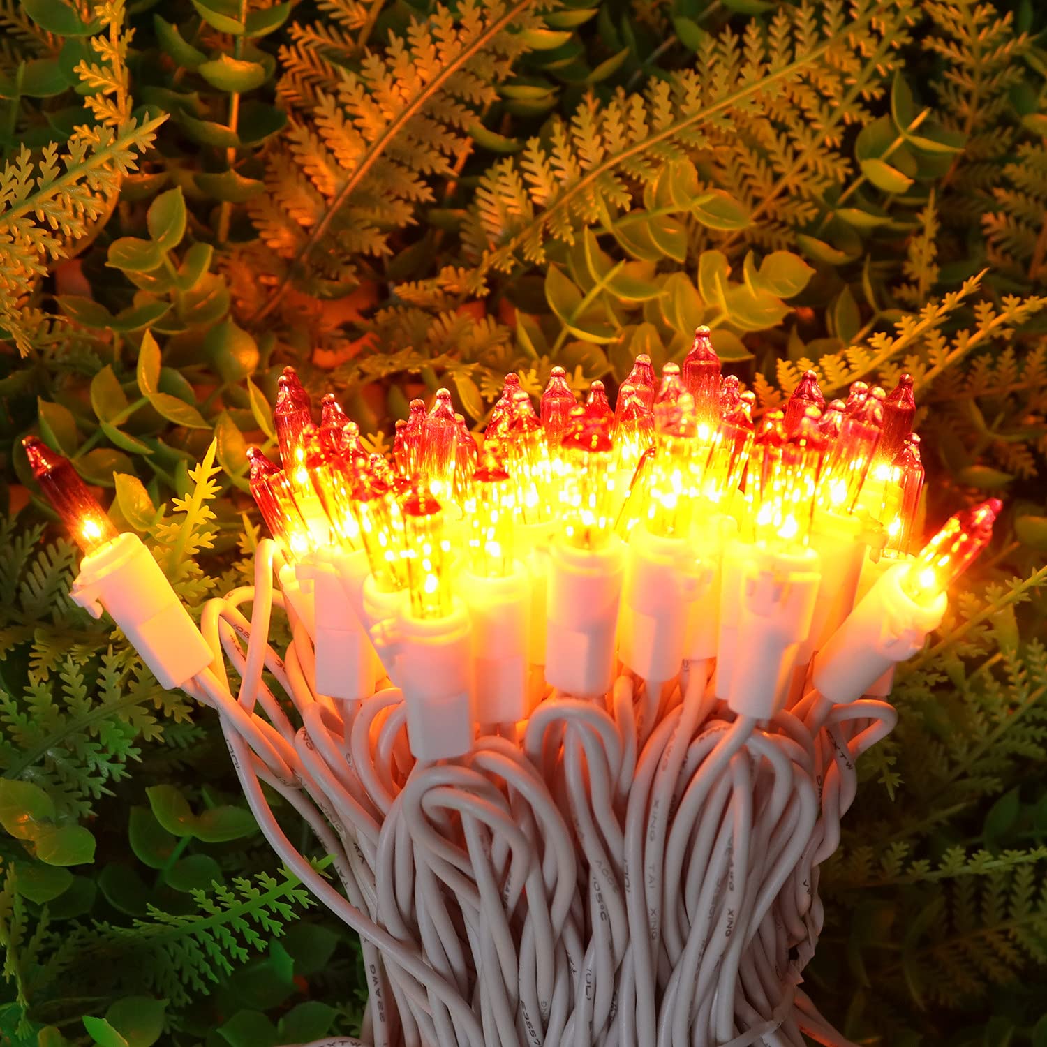 JinBest 200 Amber Bulbs White Wire String Lights, Pack of 2 Sets 100 Light, for Indoor Outdoor Christmas, Halloween, Garden, Patio, Trees.