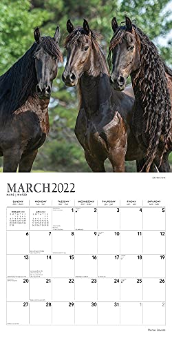 Horse Lovers 2022 12 x 12 Inch Monthly Square Wall Calendar by Plato, Animals Horses Equestrian