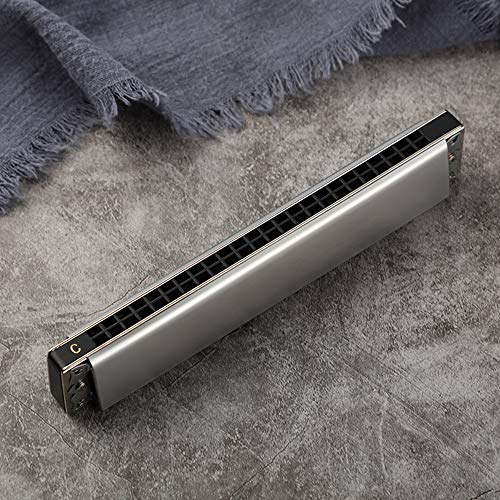 WAAZVXS Harmonica Key C 24 Holes Harp Phosphor Bronze Reeds ABS Comb Musical Instruments Professional (Color : 2430 Key C)