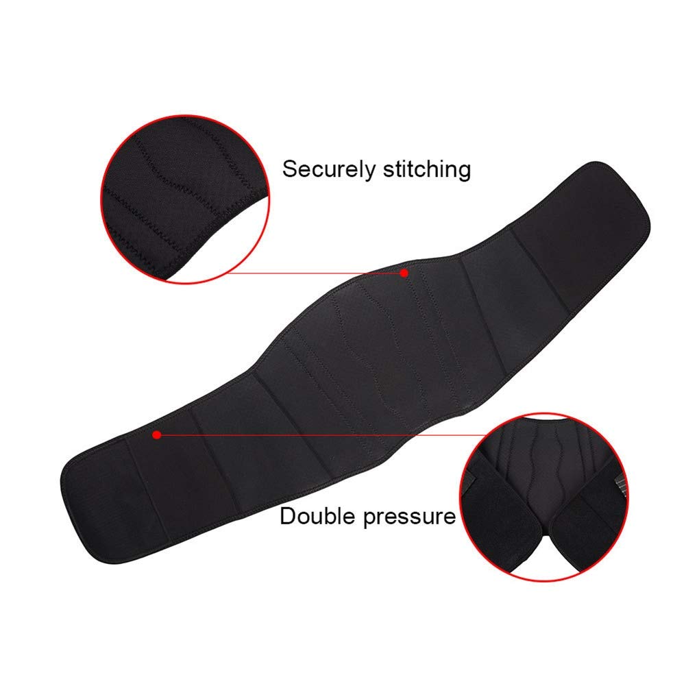 LSRRYD Premium Back Support Belt Lower Back Brace Lumbar Support Belt for Pain Relief and Injury Prevention Sciatica Scoliosis Or Herniated Disc (Size : L)