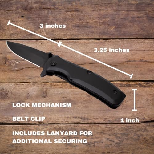 Visol Stainless Steel Pocket Folding Knife Lockback Lanyard Belt Clip for Camping and Outdoors (Black Pendragon)